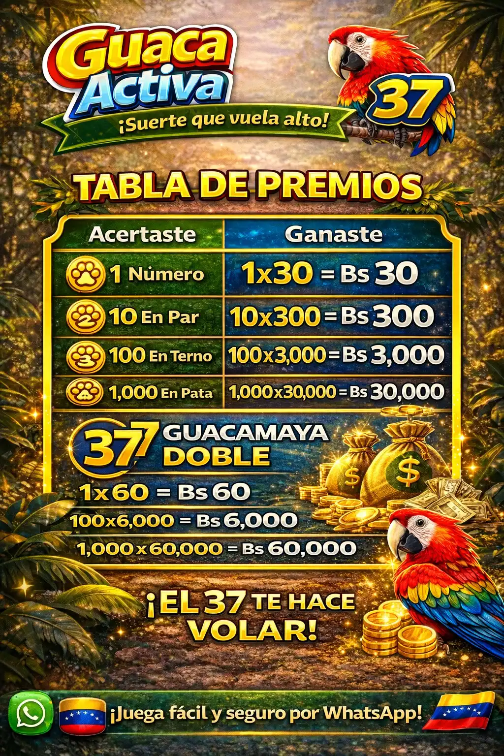Guaca Activa - Resultados